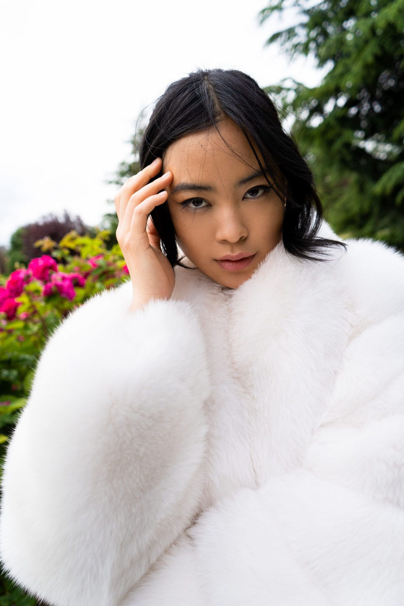 About Us - American Fur Council